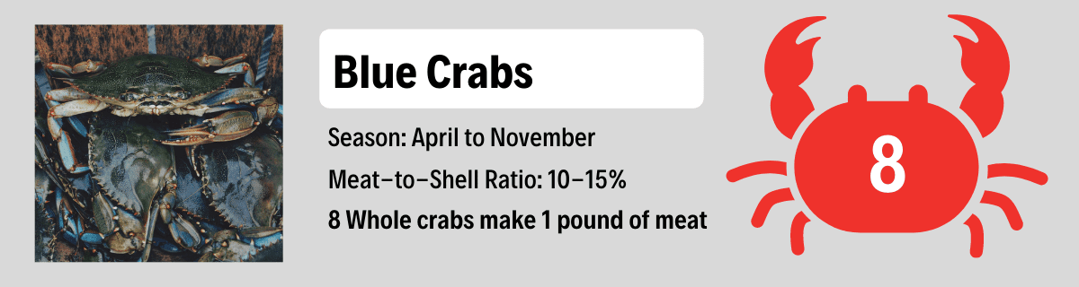 Which Crab Has The Most Meat? A Quick Comparison – Crabbing Hub