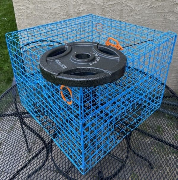 The Best Traps for Blue Crabs (Avoid Trash Traps!) – Crabbing Hub